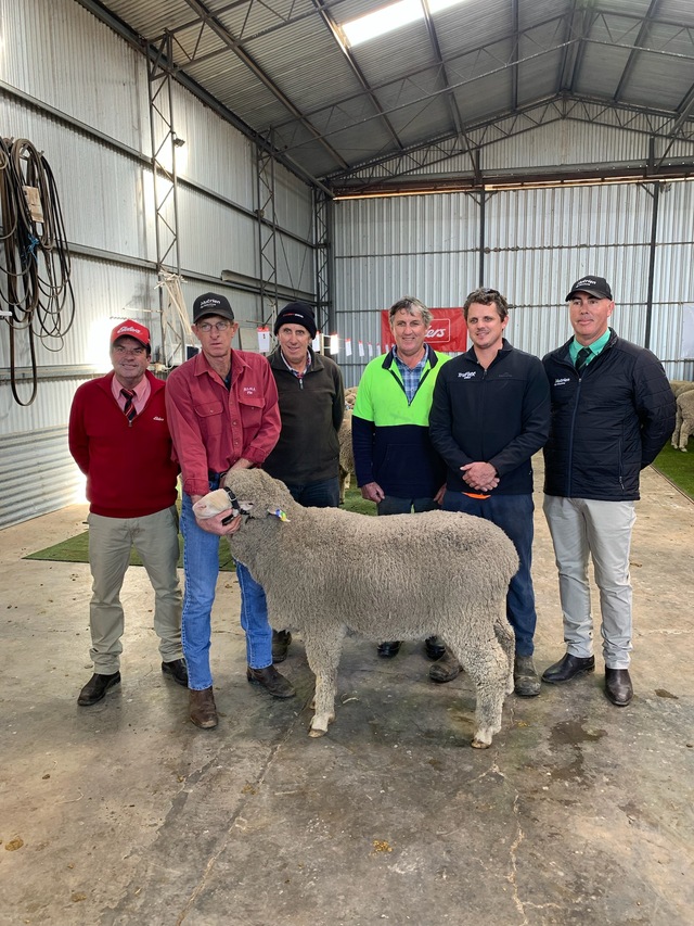 Allala achieve $2600 top | Eyre Peninsula Advocate