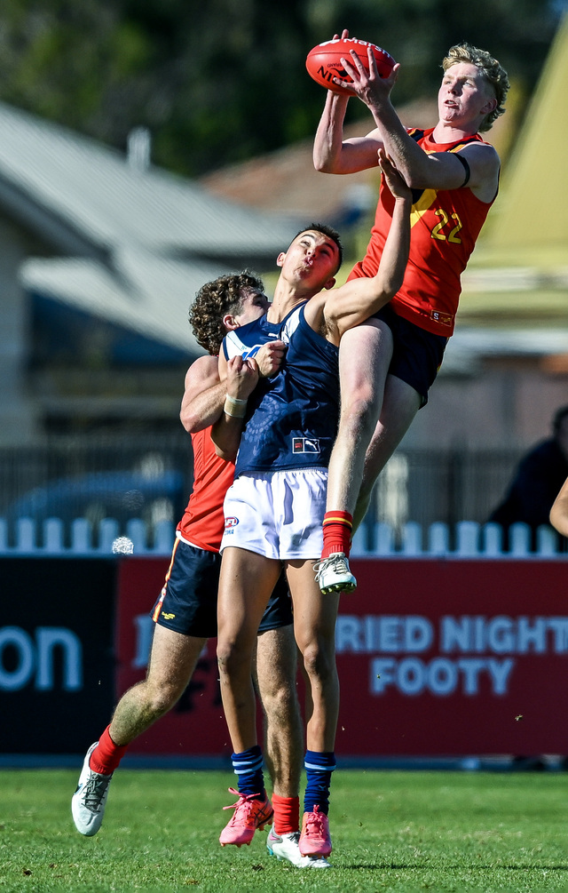 Standout season puts Balyn on AFL draft radar | Eyre Peninsula Advocate